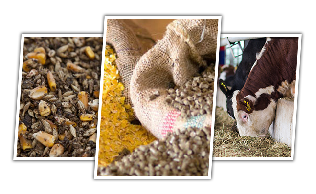 Hizmetlerimiz – Yay-Tar Tarım Ürünleri ve Yem Hammaddeleri